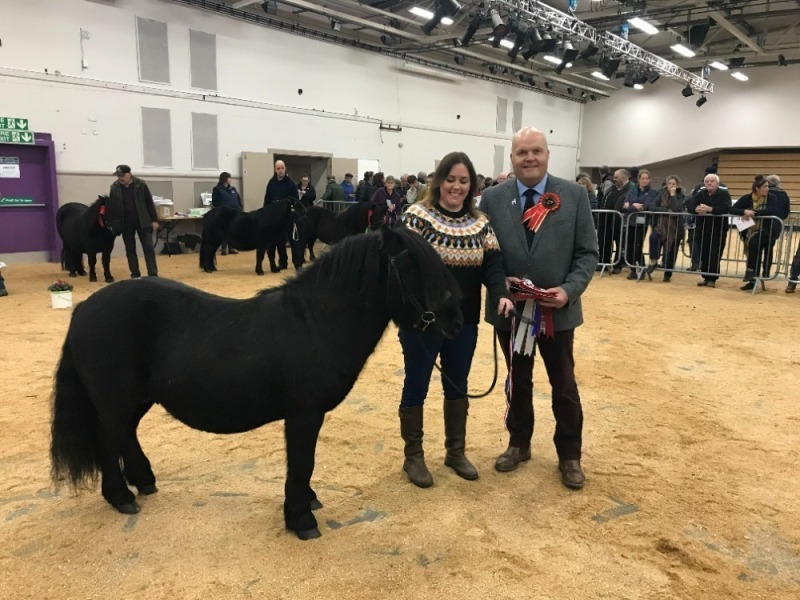 THAINSTONE – SHOW AND SALE OF REGISTERED SHETLAND PONIES – MONDAY 9TH ...
