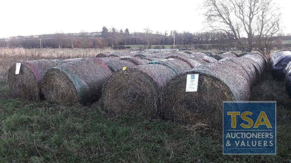 60 No. 4x4 Bales of Rough Hay - 2021 Crop