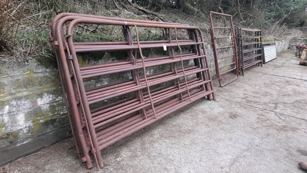 6x10FT Heavy Duty Cattle Handling Gates