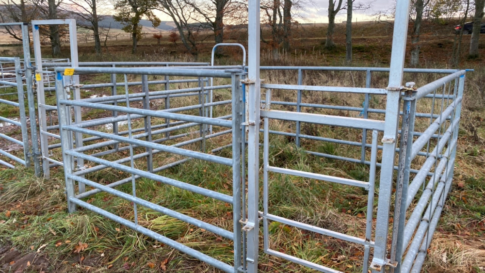 4 Cattle Handling Gates with Escape Door & Pins