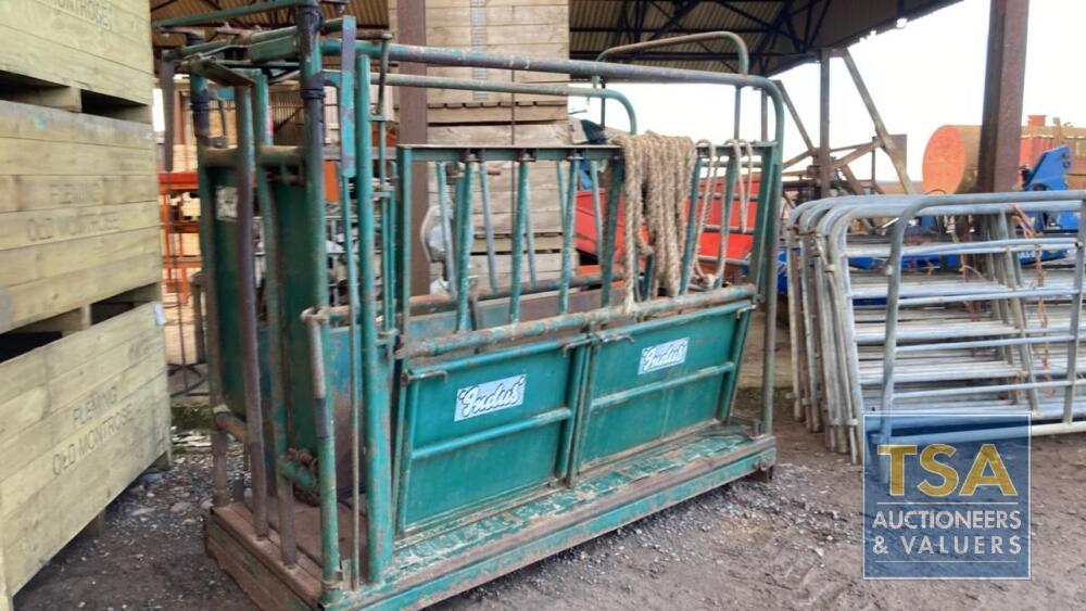 Indus Cattle Handling Crate c/w Weigher