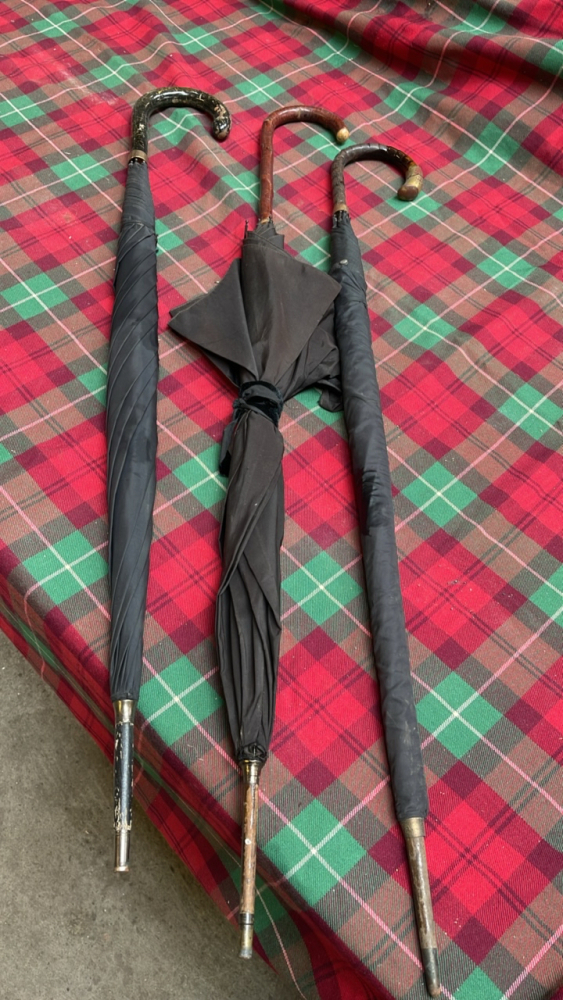 3 UMBRELLAS (1 GOLD COLLAR)